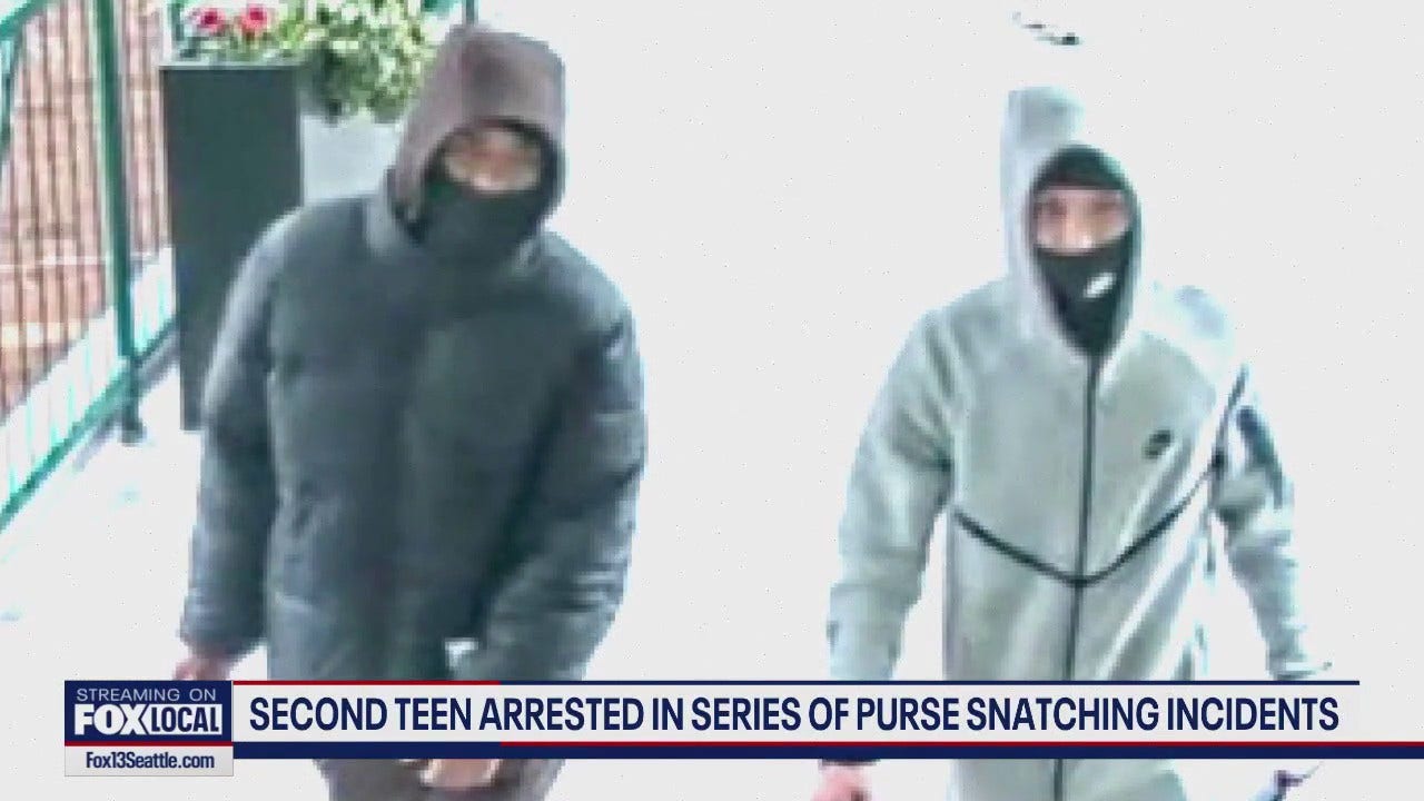 Second teen arrested in series of purse snatching incidents | FOX 13 ...
