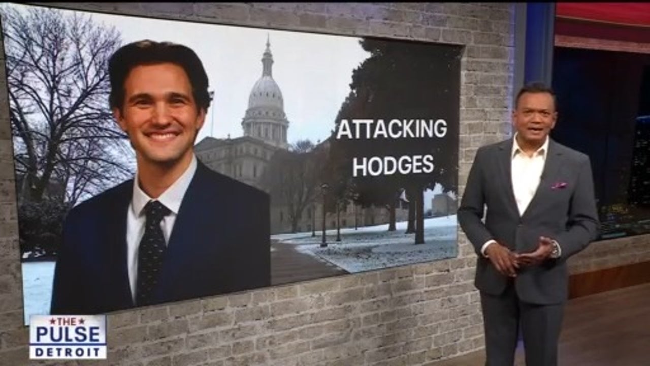 MI Rep. targets gay marriage ruling & Runestad on MI GOP Future | FOX 2 ...