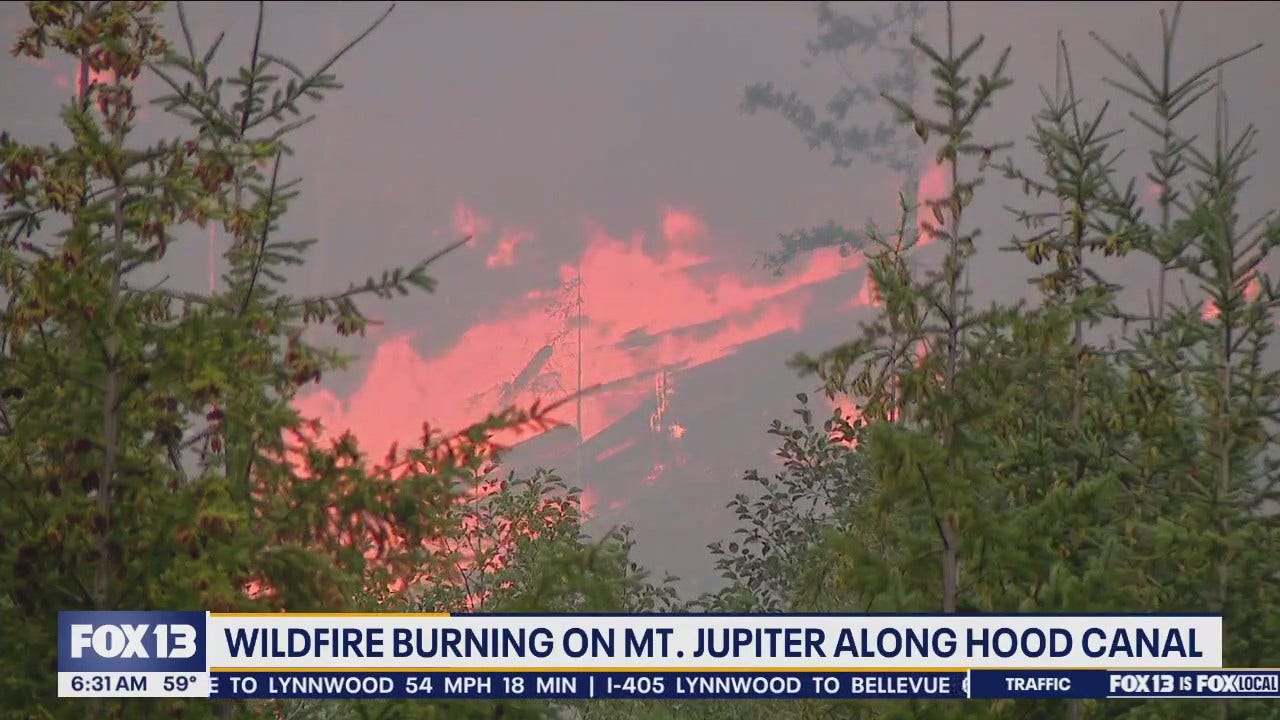 Wildfire burning on Mt. Jupiter along Hood Canal | FOX 13 Seattle