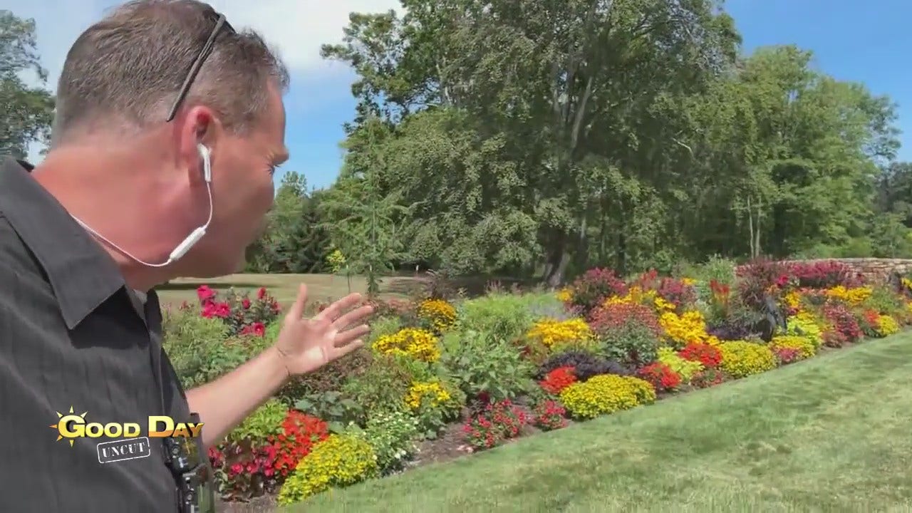 Good Day Uncut: 2024 Annual Burpee Open at Fordhook Farm | FOX 29 ...