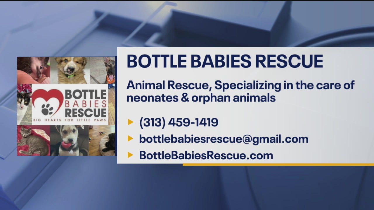 Bottle Babies Rescue | FOX 2 Detroit
