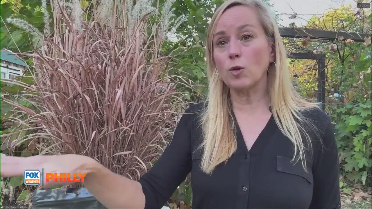 Tuesdays with Toni | FOX Weather Philly | FOX 29 Philadelphia