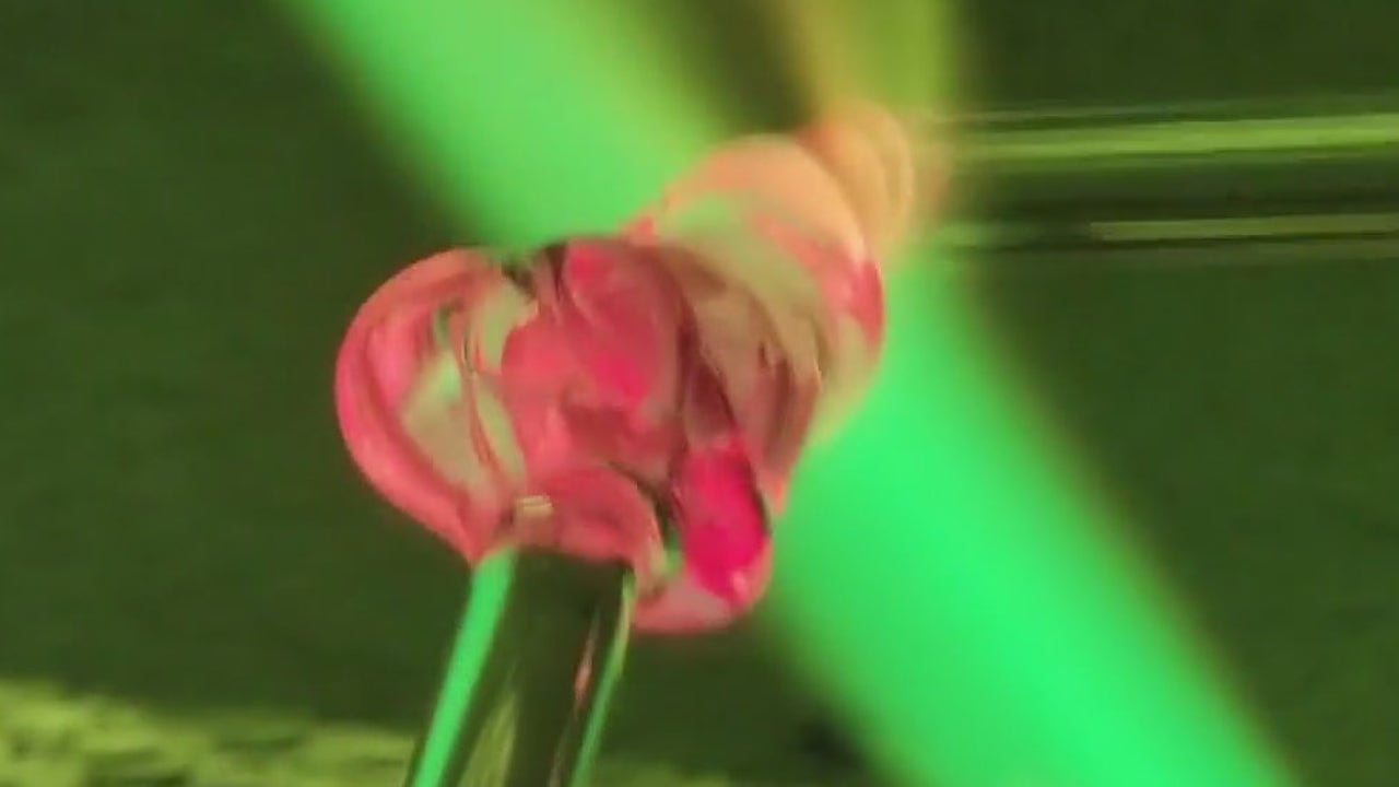 Zen Glass Studio and Gallery | FOX 13 Tampa Bay