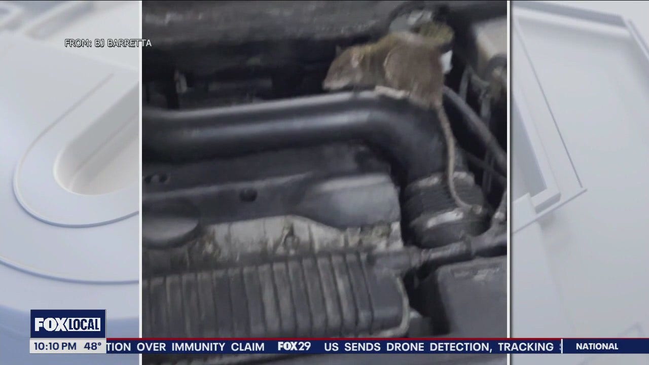 South Philly residents fed up over rat problem | FOX 29 Philadelphia