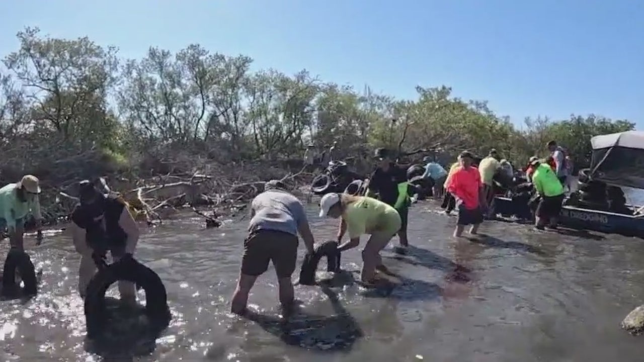 'Tire Island': Crews work to clear out 500+ tires from Indian River ...