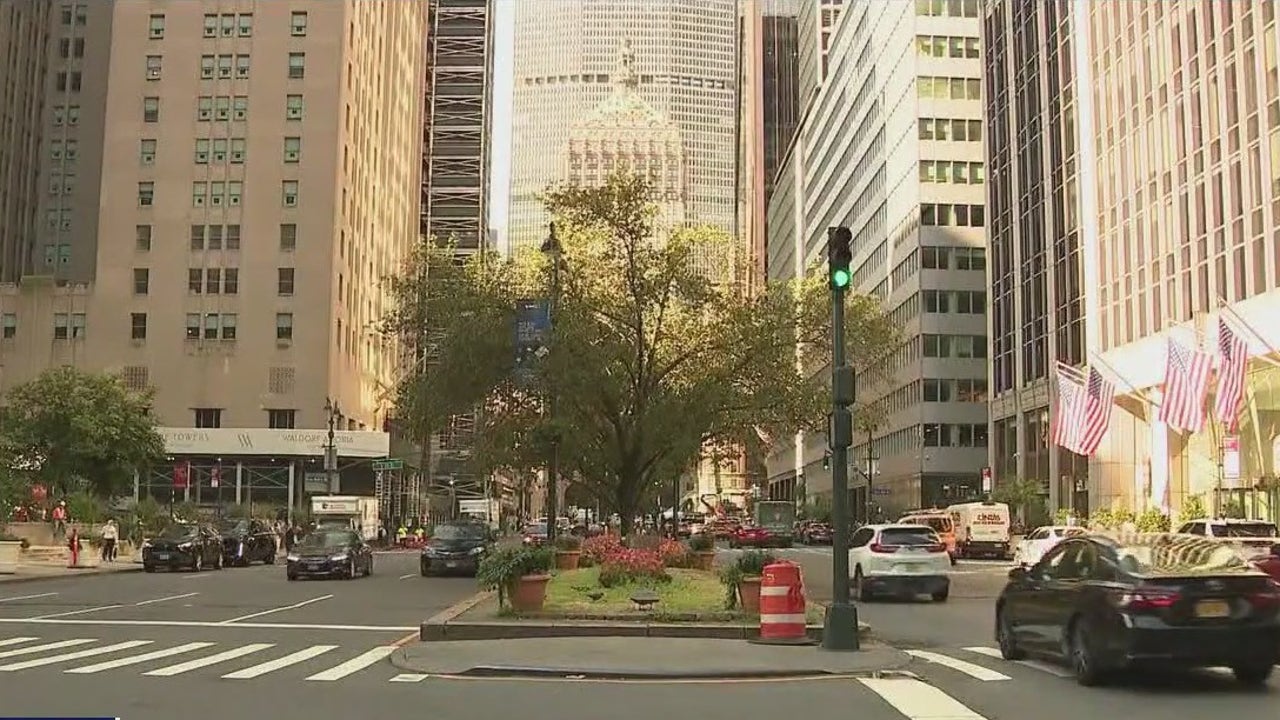 NYC proposes green transformation for Park Avenue | FOX 5 New York