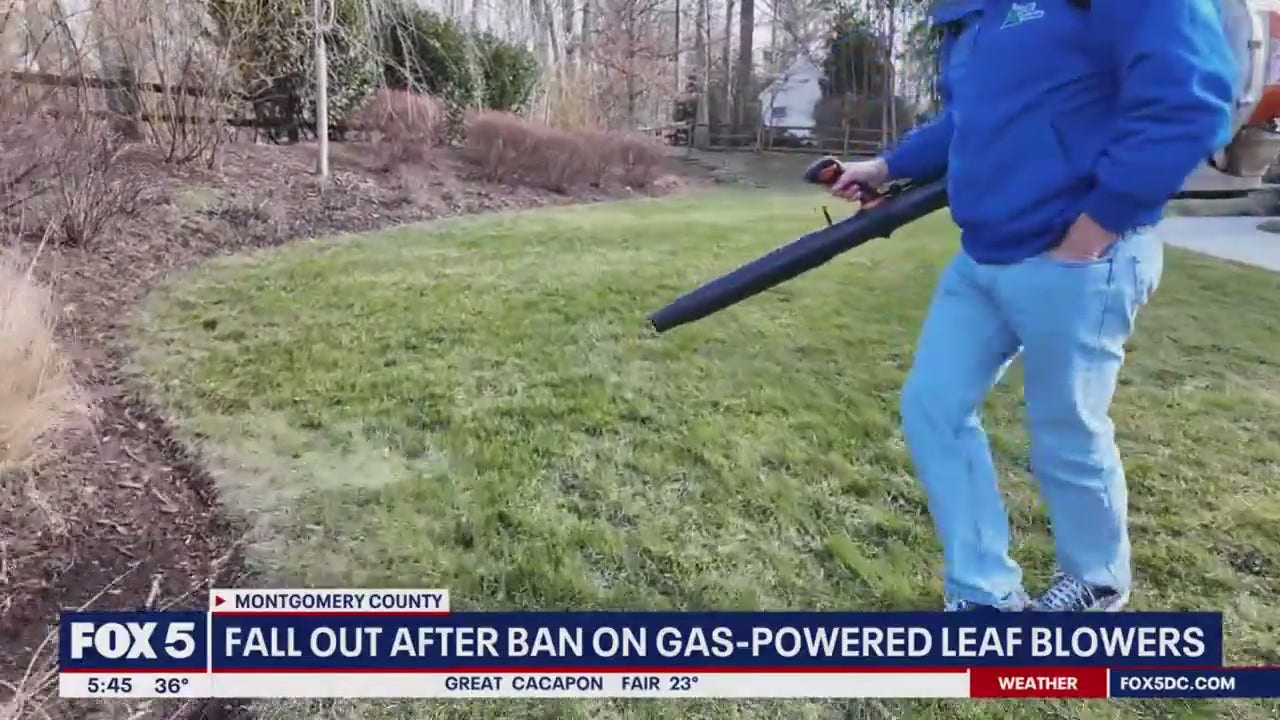 Montgomery County bans gas-powered leaf blowers | FOX 5 DC