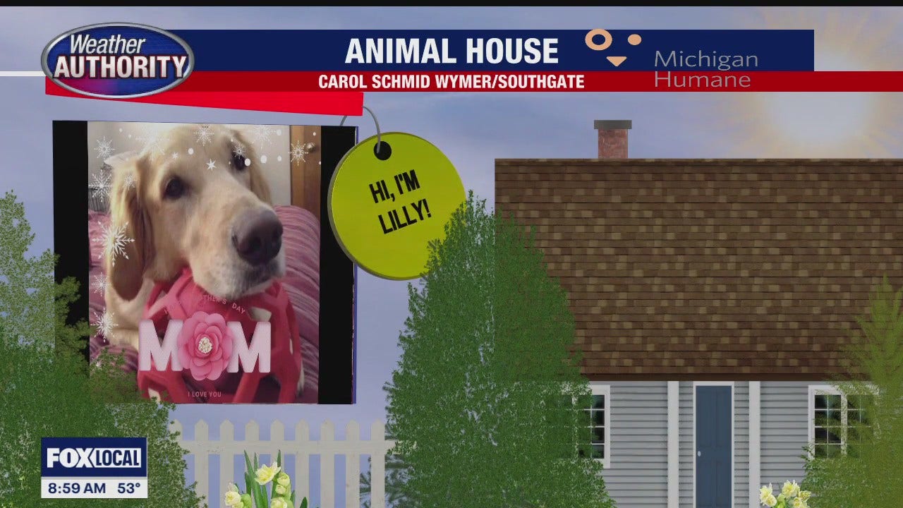 Welcome Emma, Lilly, Brock | FOX 2 Detroit