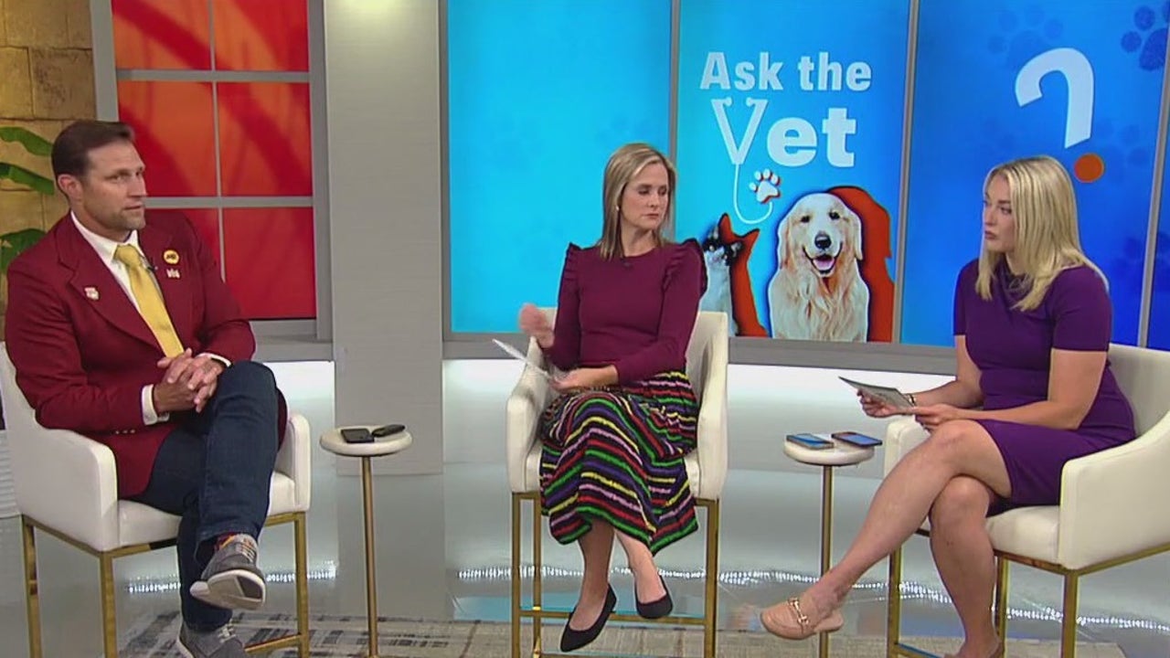 FOX 9 Good Day: Sept. 20, 2024 | FOX 9 Minneapolis-St. Paul