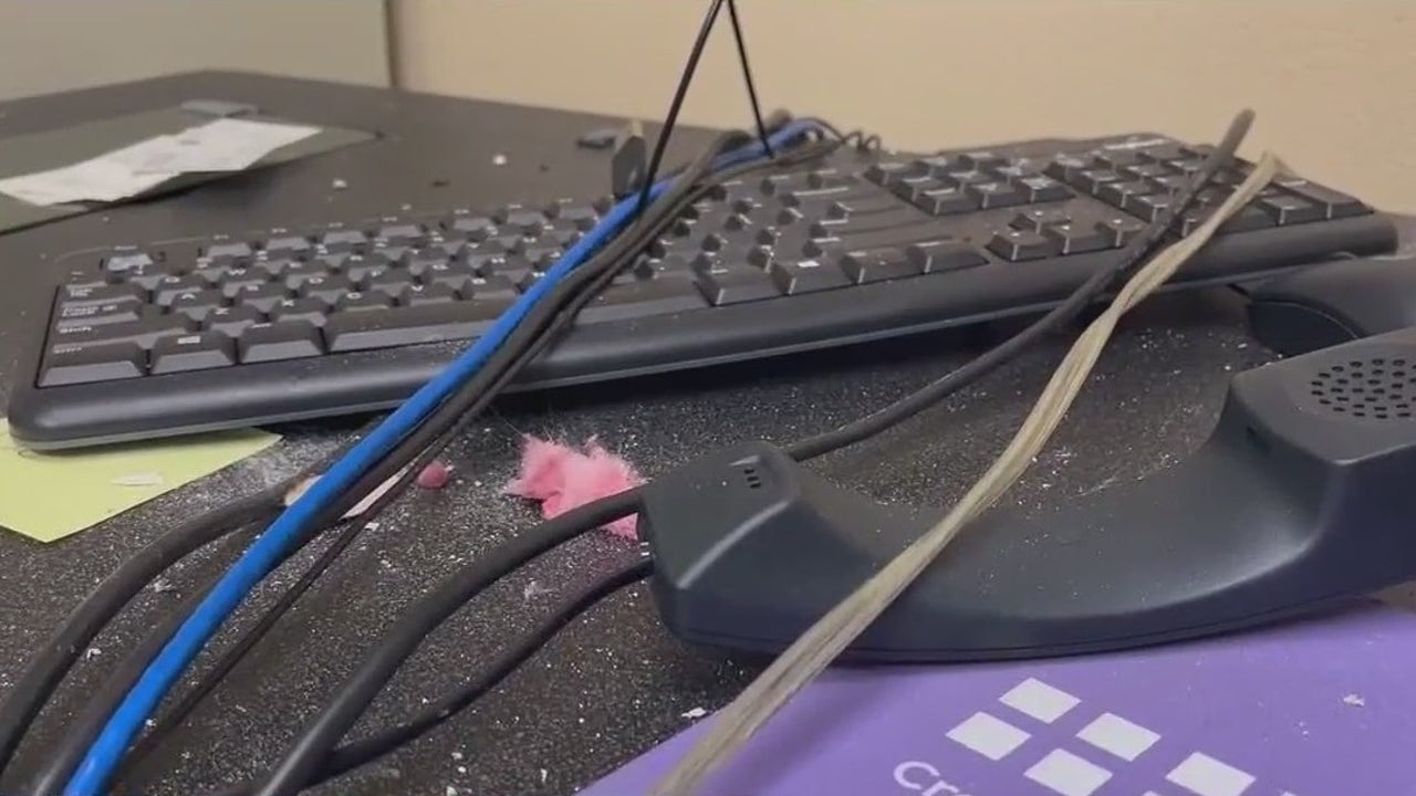 Vandalism rattles staff at Women’s Center of Brevard | FOX 35 Orlando