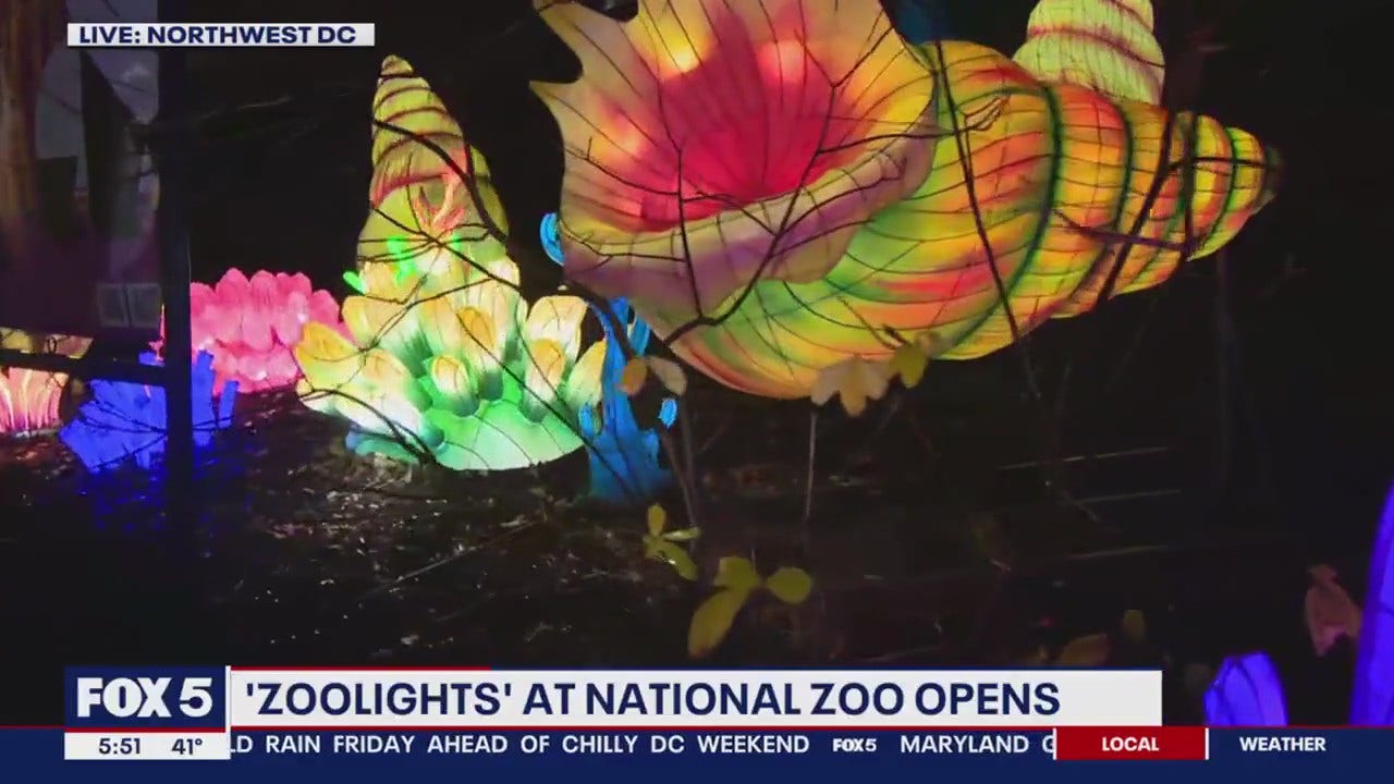 ZooLights returns for holiday season | FOX 5 DC