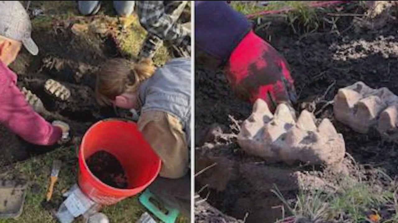 Prehistoric fossil found in NY backyard | FOX 5 New York