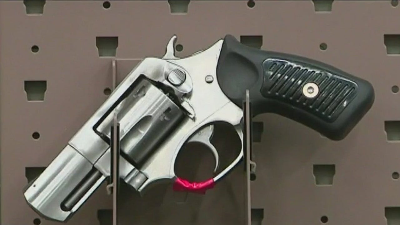 Group pushing for lawmakers to pass gun safety bills during fall veto ...
