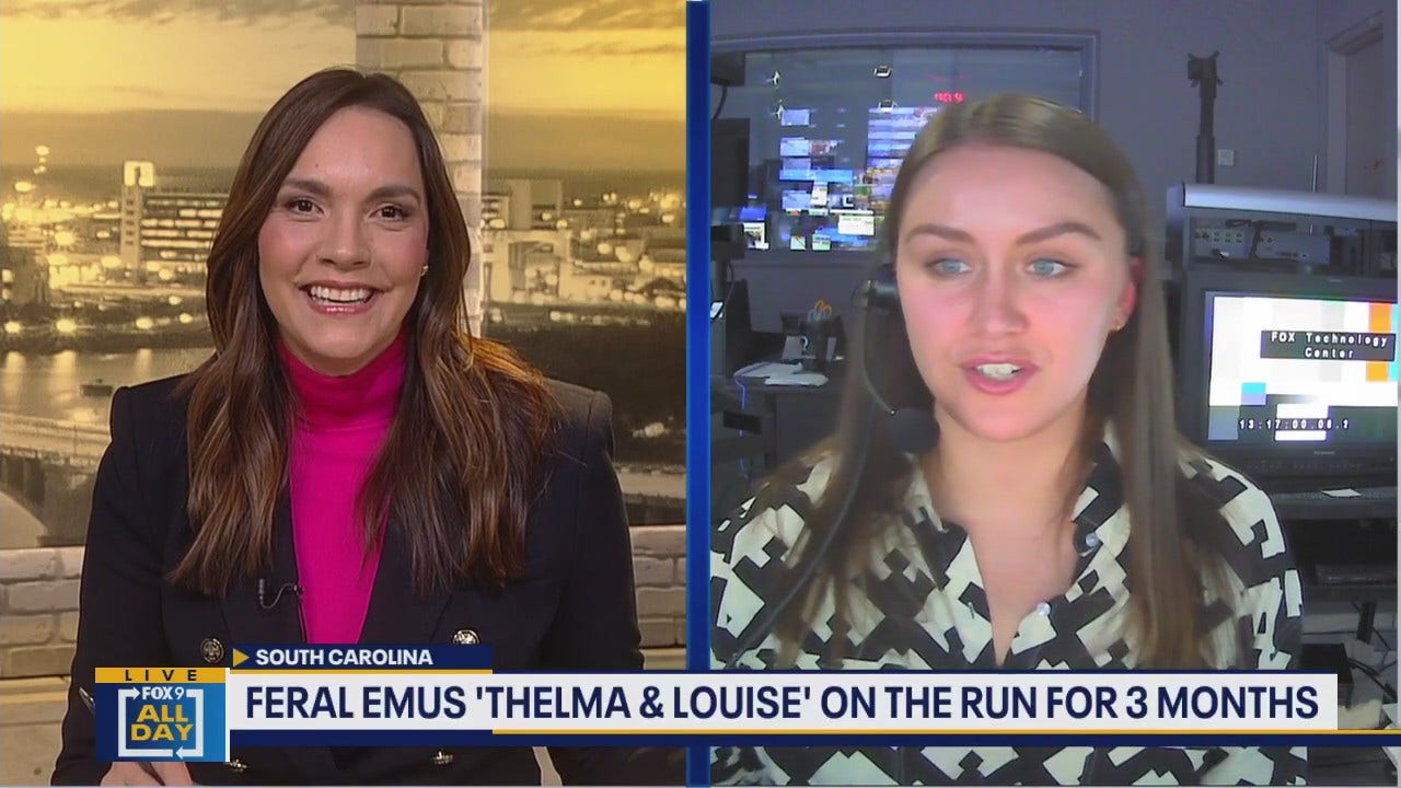 FOX 9 All Day: Monkeys, emu still on the run | FOX 9 Minneapolis-St. Paul