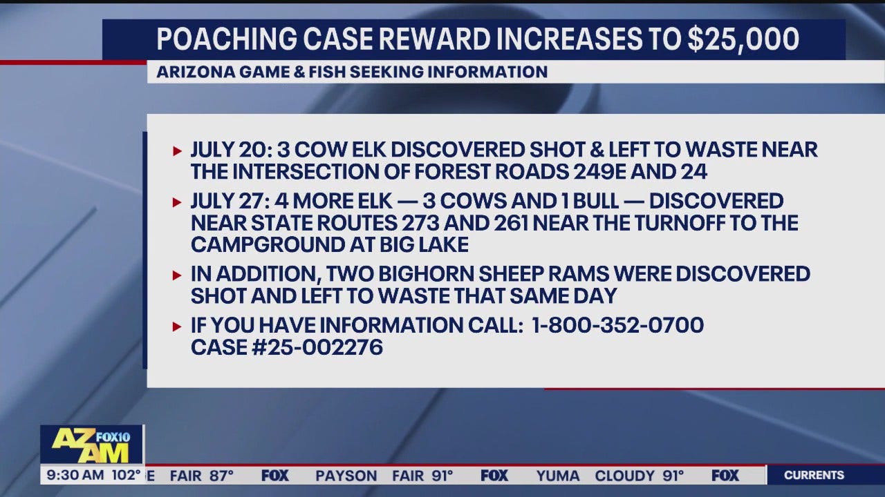$25K reward offered in Arizona elk poaching case | FOX 10 Phoenix
