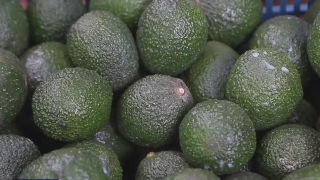 Avocado & Mango prices expected to rise | FOX 5 New York