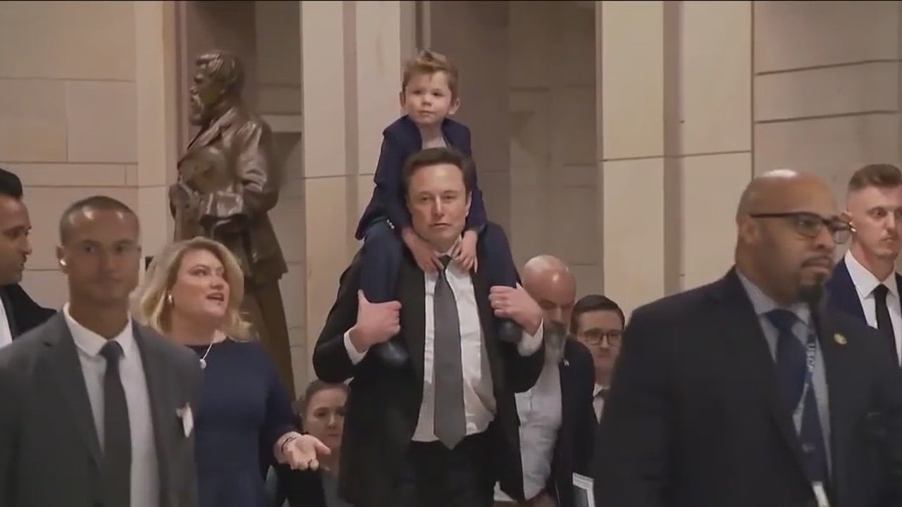 GOP lawmakers are 'over the moon' about DOGE | FOX 32 Chicago