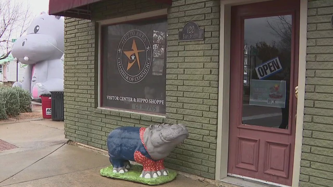 Hutto celebrates World Hippo Day | FOX 7 Austin