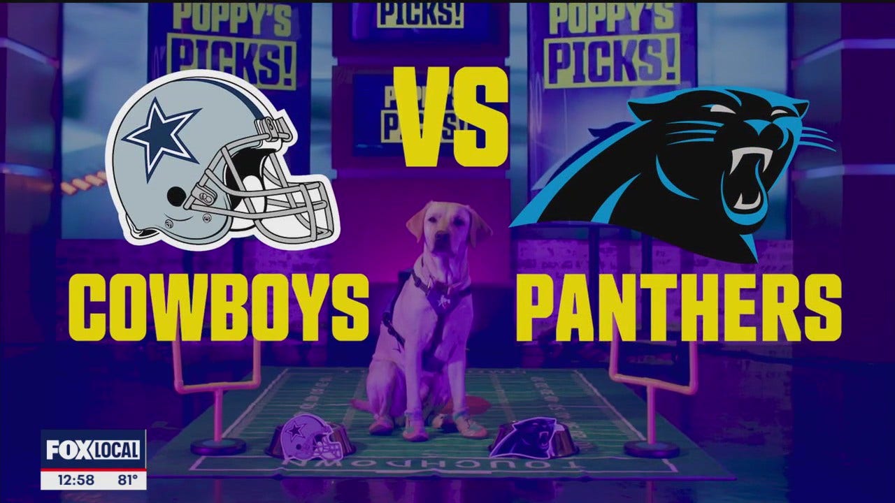Poppy Picks: Cowboys vs Panthers | FOX 4 Dallas-Fort Worth