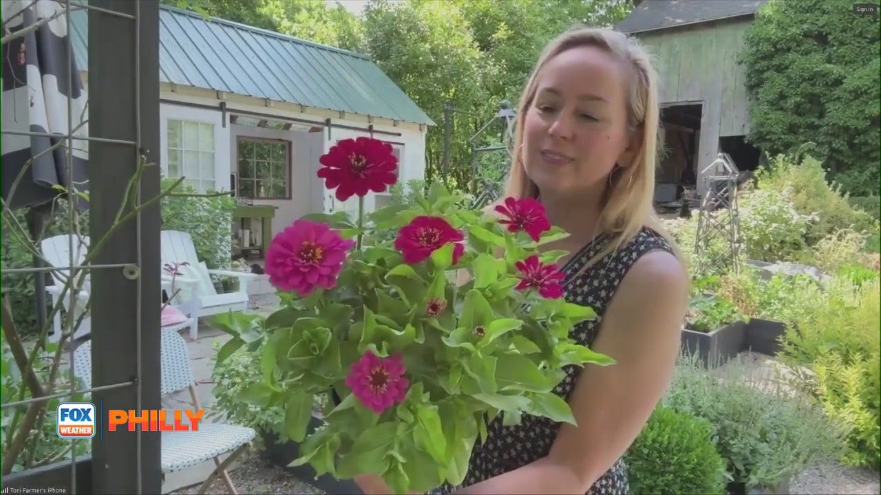 Tuesday's with Toni | FOX 29 Philadelphia