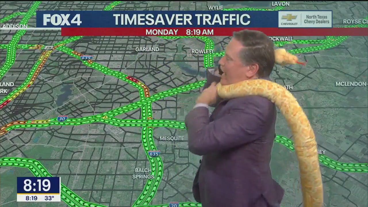 FOX 4's Chip Waggoner gets 'Extracted' after 'boa constrictor' attack ...