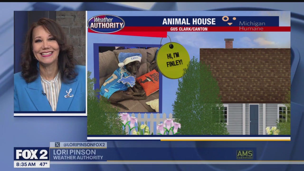 Meet Finley | FOX 2 Detroit