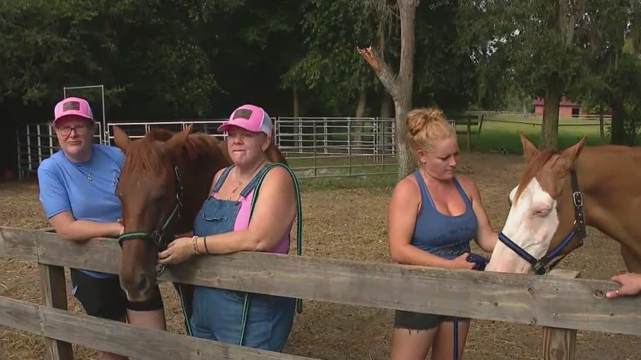 Charley visits Stricker Sunshine Rescue Ranch | FOX 13 Tampa Bay