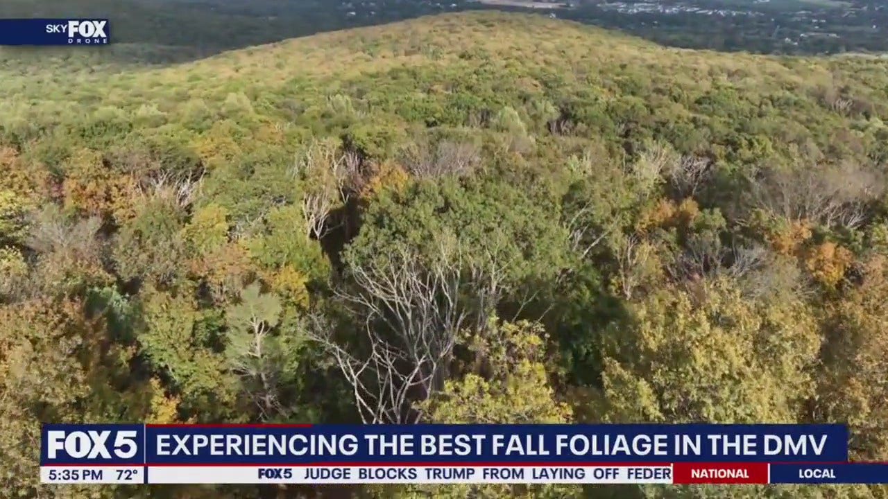 Leaf peeping in the DMV: When to catch the best of the fall colors ...