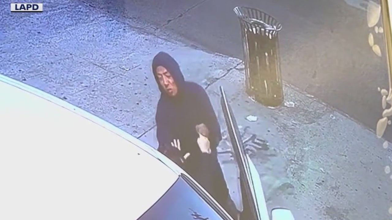 Attempted carjacker targets 3 women in 1 day: LAPD | FOX 11 Los Angeles