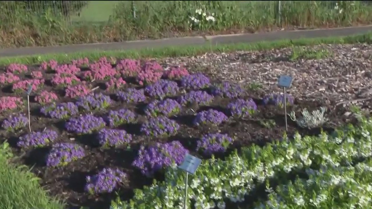 Checking out what Boerner Botanical Gardens has to offer. | FOX6 Milwaukee
