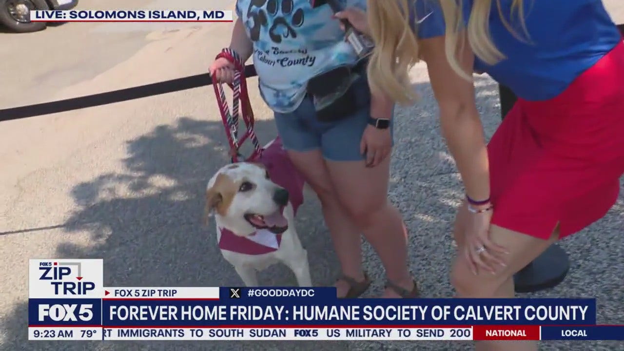 Forever Home Friday: Solomons Island | FOX 5 DC