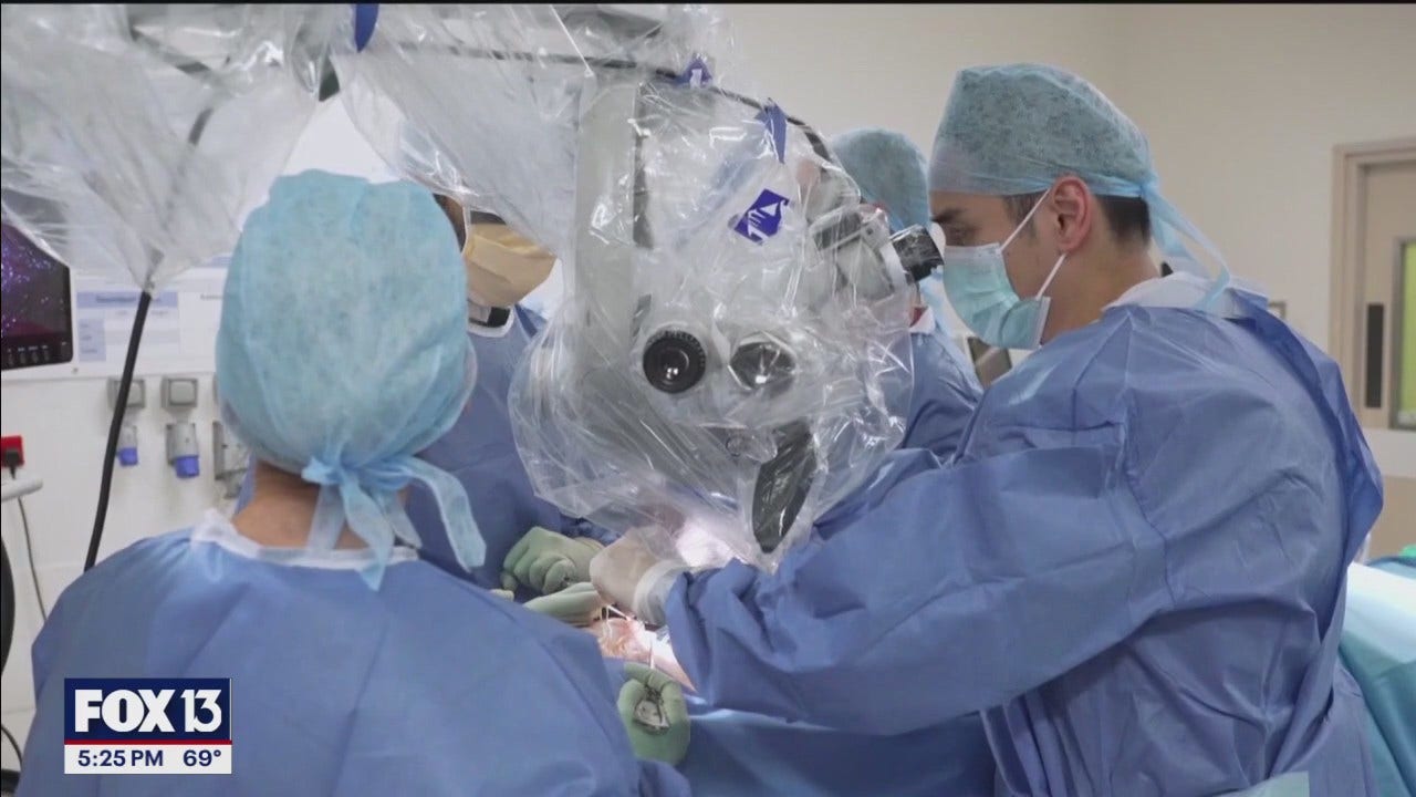 Electronic chip could treat sleep apnea | FOX 13 Tampa Bay