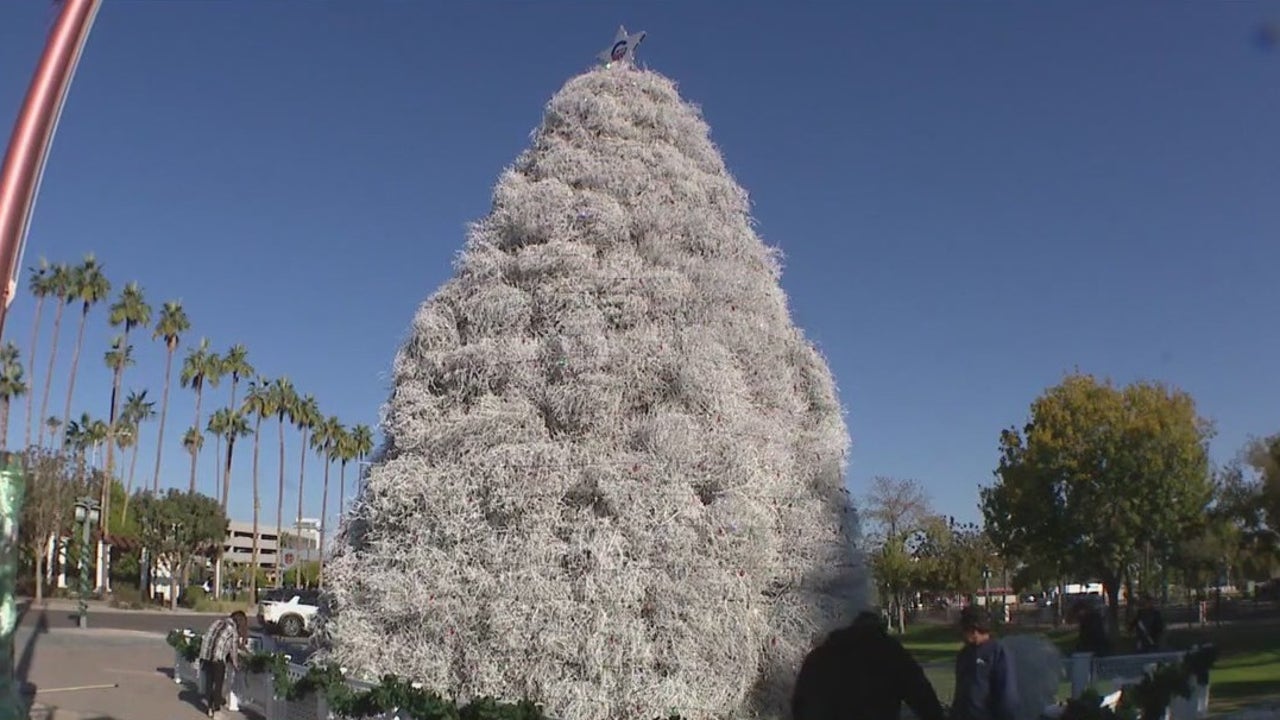 Chandler tumbleweed tree ready for holiday lights | FOX 10 Phoenix