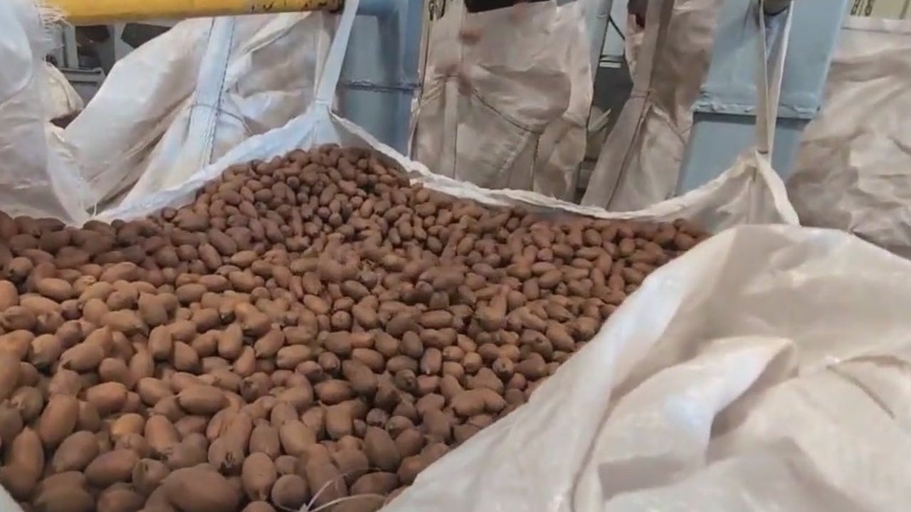 Georgia's pecan industry takes billion-dollar hit | FOX 5 Atlanta