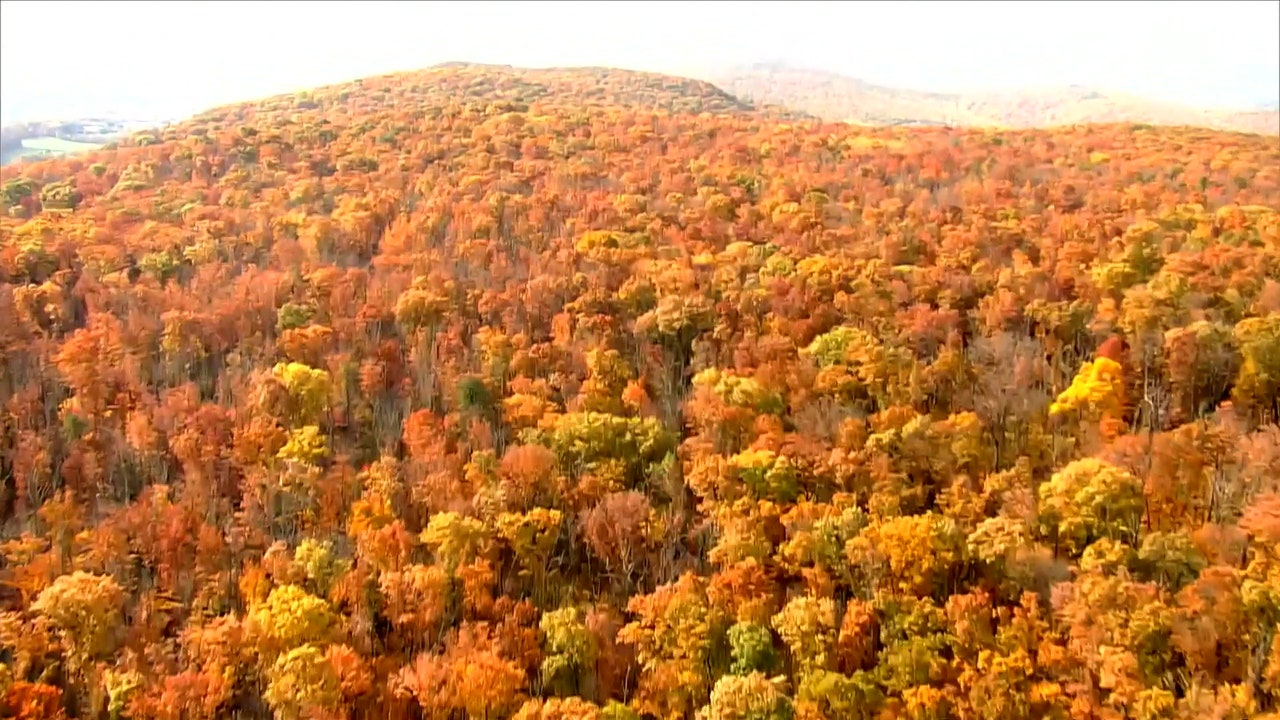 Autumn Colors in the DMV | FOX 5 DC