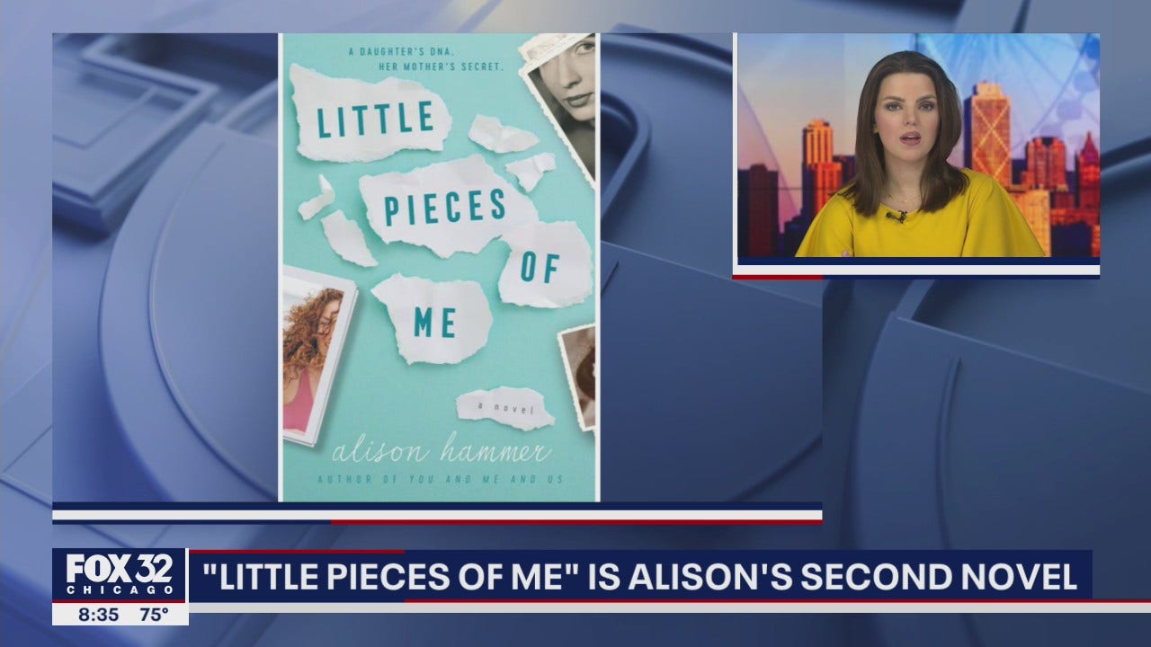 Alison Hammer releases second novel | FOX 32 Chicago