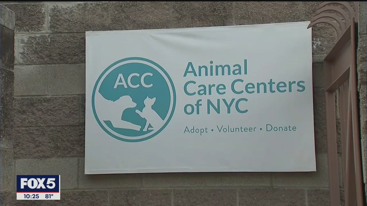 Pets left behind by COVID-19 | FOX 5 New York