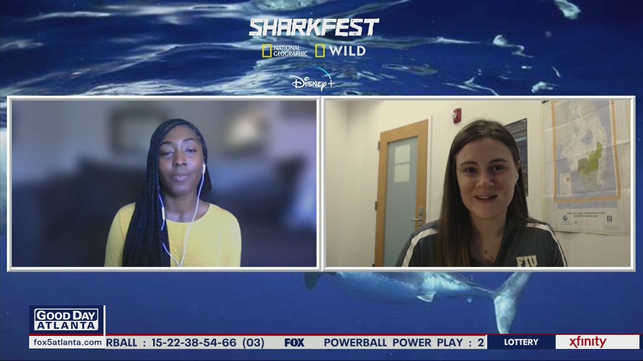 Woman of 'Sharkfest talk what you need to know about shark attacks ...