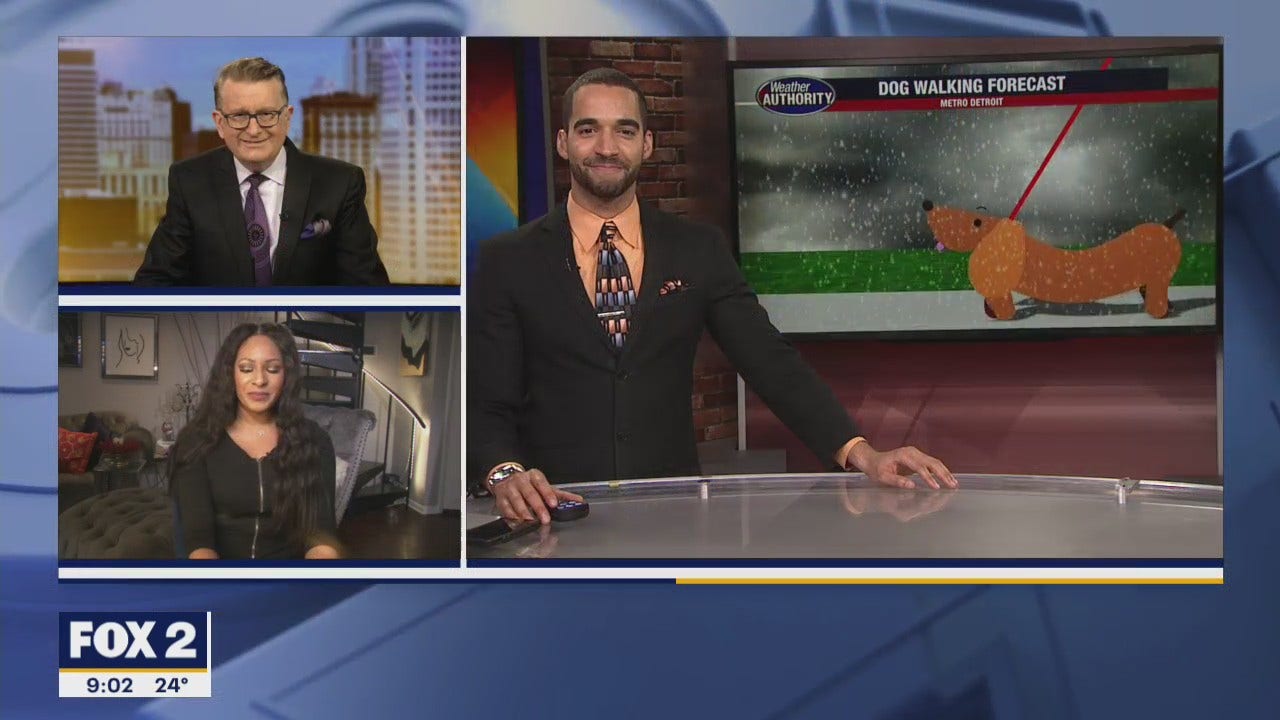 Meet Dino, Bailey and Brody! | FOX 2 Detroit