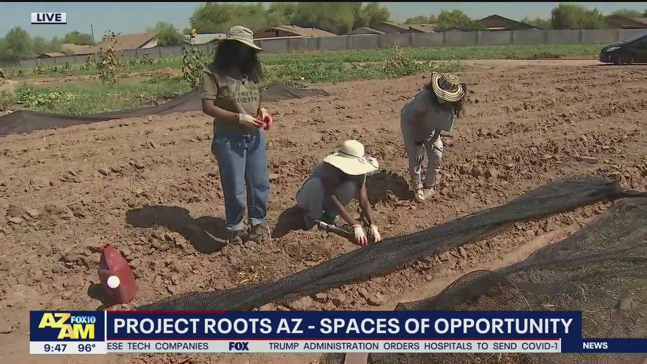 Project Roots AZ: 'Spaces of Opportunity' volunteers help communities ...