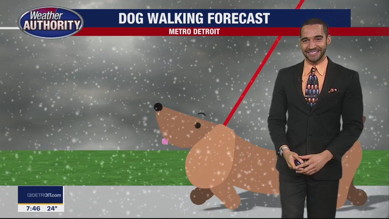 Meet Rommel! | FOX 2 Detroit