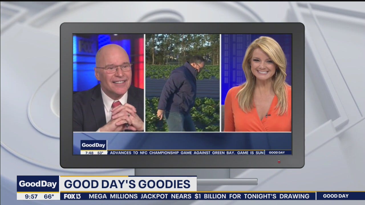 Good Day Goodies: Jan. 22, 2021 | FOX 13 Tampa Bay