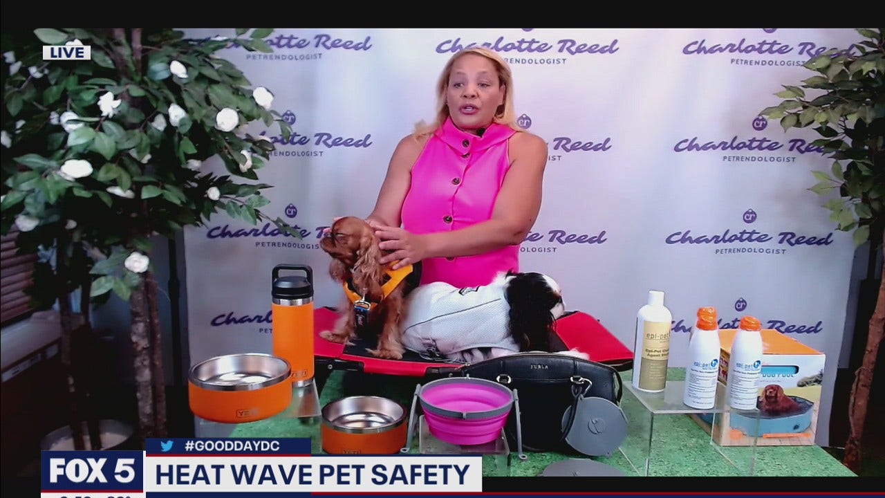 Heat wave pet safety | FOX 5 DC
