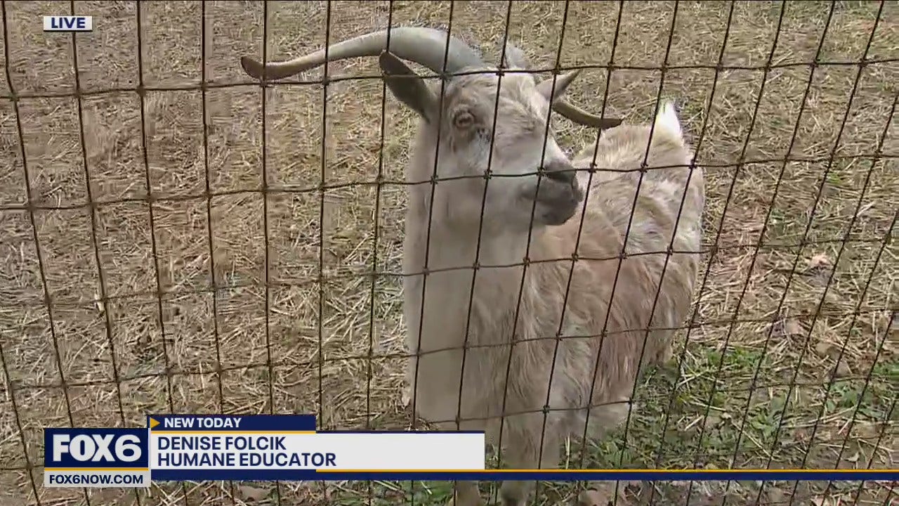 Educational opportunities at the HAWS Schallock Center | FOX6 Milwaukee