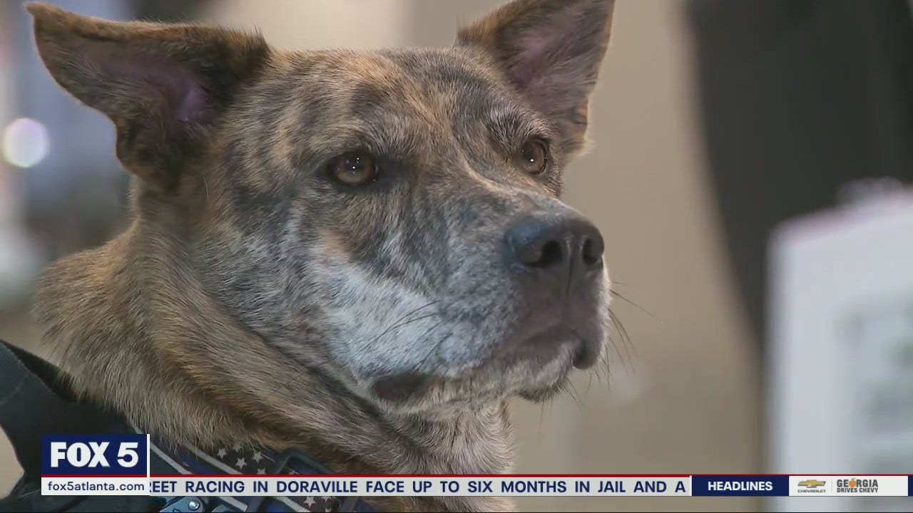 First Atlanta police emotional support dog | FOX 5 Atlanta