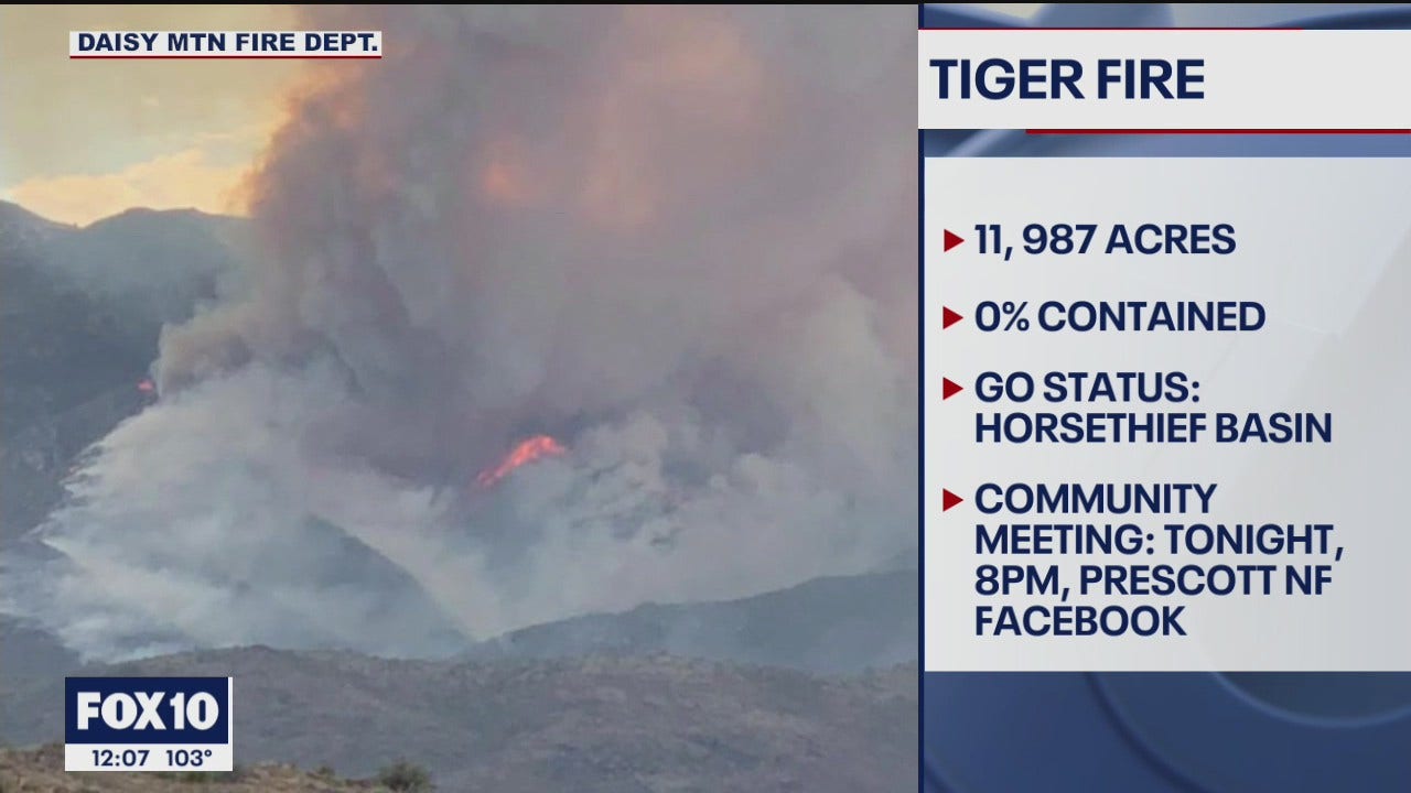 Tiger Fire burns nearly 12K acres near Crown King | FOX 10 Phoenix
