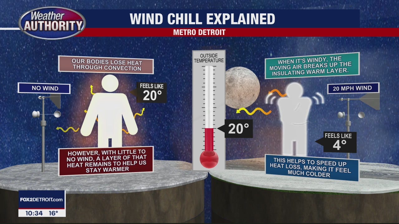 Sub Zero Wind Chill Overnight | FOX 2 Detroit