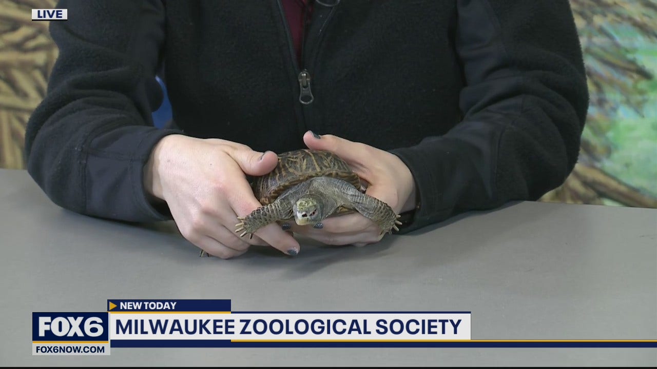 The Zoological Society of Mikwaukee partners with Kohl’s Wild Theater ...