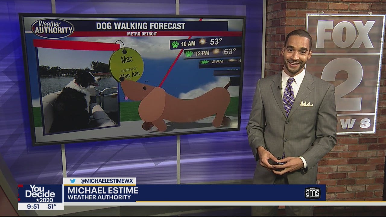 Meet Mac! | FOX 2 Detroit