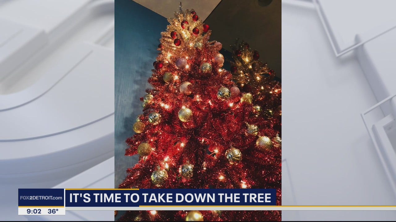 The Nine | FOX 2 Detroit